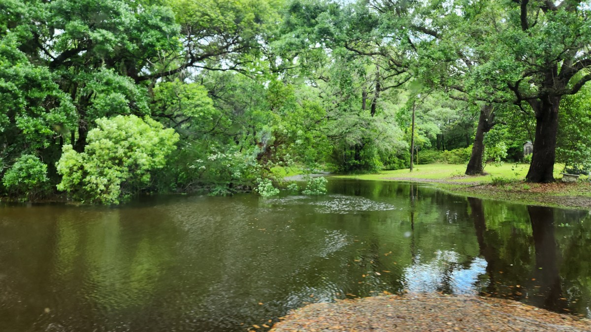 A Creed to Honor Water – Semi-Random Reflections